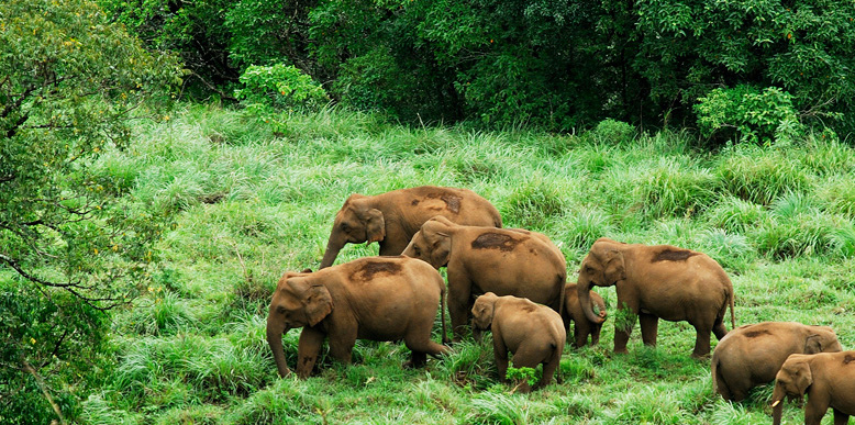 Holidays in Kerala – Experience the Visual Treat in God’s Own Country ...