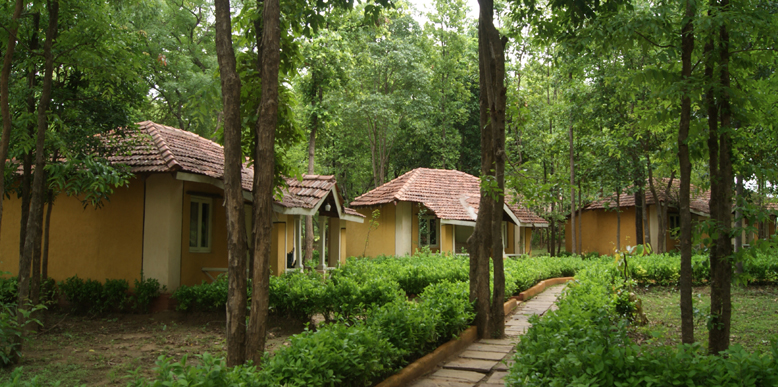 Top 15 Hotels & Resorts in Kanha National Park - Tour My India