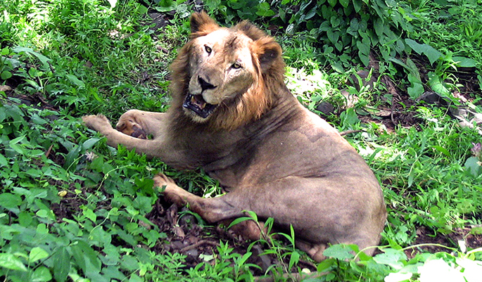 15 Unexplored Wildlife Destinations in India: Tour My India