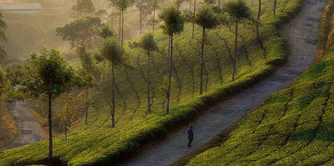 Offbeat Tourist Places in West Bengal India : Tour My India