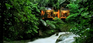Best Luxury Ayurvedic Spa Resorts in Kerala
