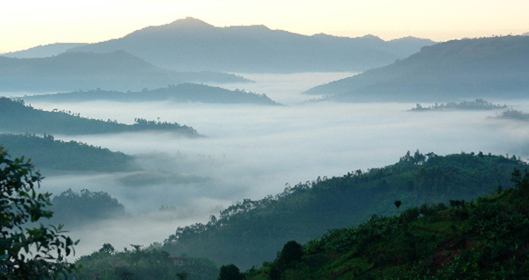 31 Best Places to Visit in Tamil Nadu: Tour My India