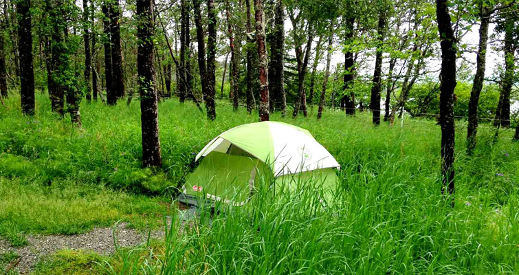 11 Best Things to Do in Coorg, Karnataka: Tour My India