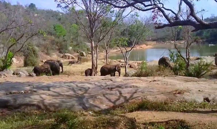 Karimpuzha National Park