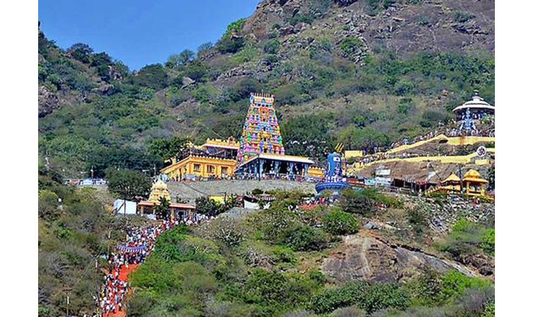 15 Amazing Temple Fairs in India: Tour My India