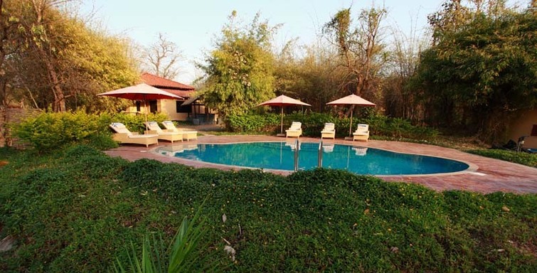 The 20 Best Wildlife Jungle Resorts in Bandhavgarh: Tour My India