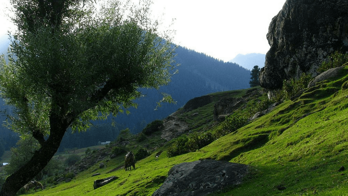 14 Top Places to Visit in Pahalgam, Kashmir: Tour My India