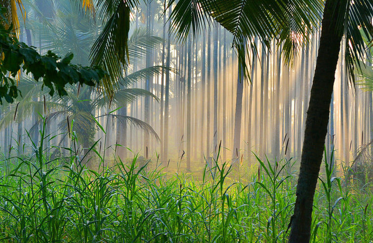 The Top 15 Weekend Getaways from Goa for Couples