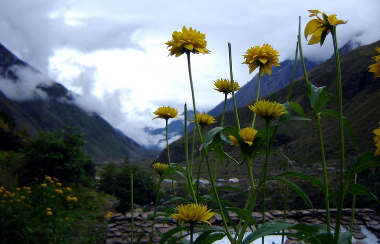 15 Offbeat Places in Uttarakhand: Tour My India