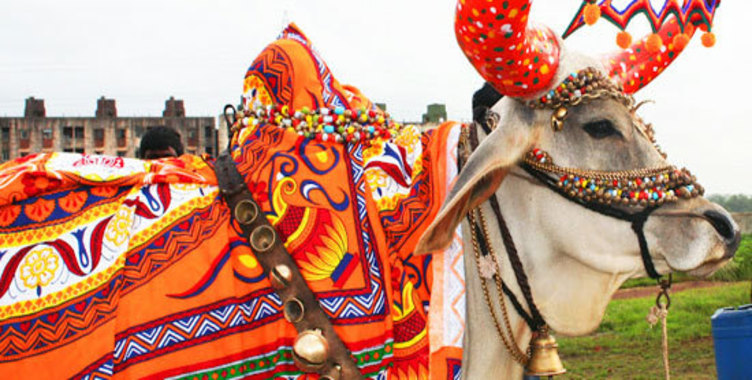 Chhattisgarh Tourism- Best Places to See & Things to Do | TMI