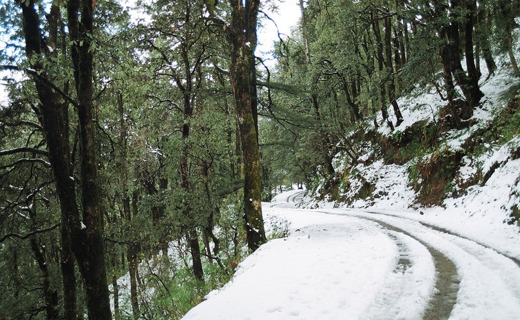 15 Offbeat Places in Uttarakhand: Tour My India