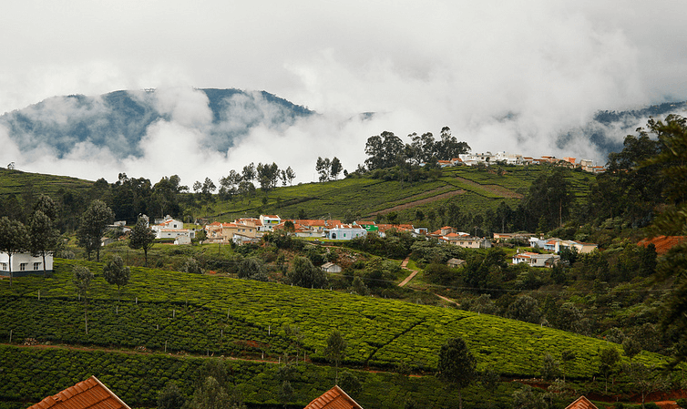 Popular Hill Station Holiday Places in Tamil Nadu