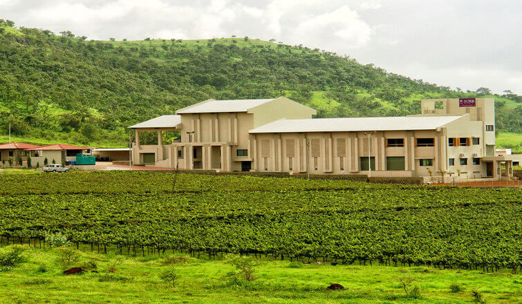 10 Places to Visit in India if You Love Wine: Tour My India