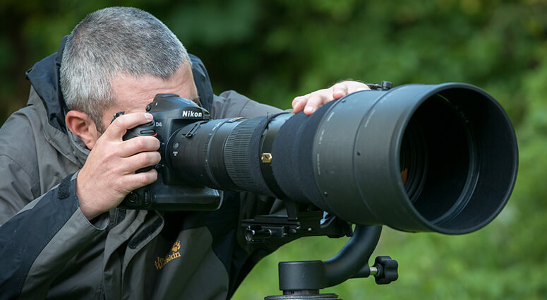 111 Best Wildlife Photographers in the World