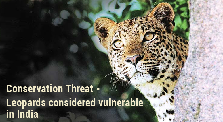 Less Focused Endangered Species of India and Where to Find Them?