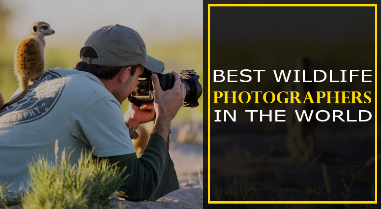 World No 1 Wildlife Photographer - Infoupdate.org