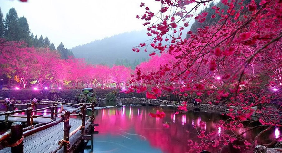 Best 15 Tourist Destinations Perfect for Nature and Adventure Tours in Asia