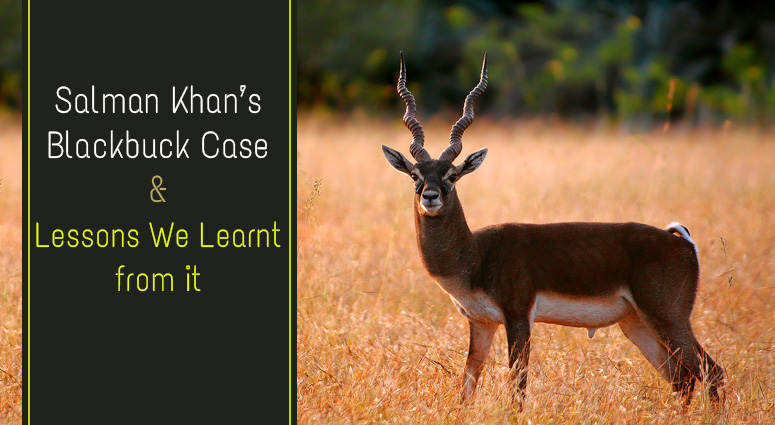 Less Focused Endangered Species of India and Where to Find Them?