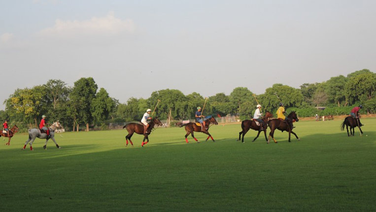 20 Best Places for Polo Players in India | Polo Sports Tourism