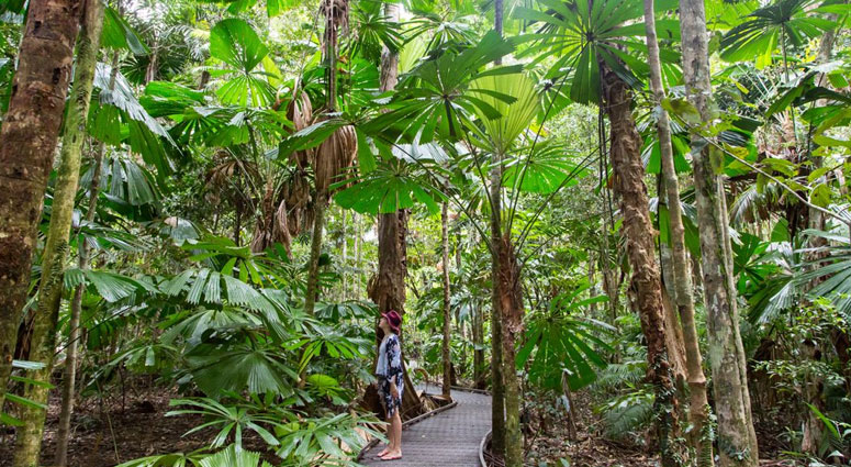 20 Best Places to Visit and Things to Do in Australia | Holidays in ...