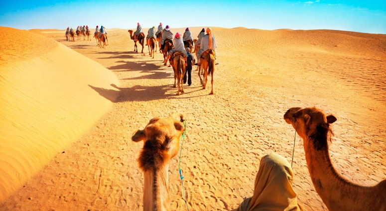 Best 20 Fun & Adventure Activities to Do in Dubai Holidays | Tourism