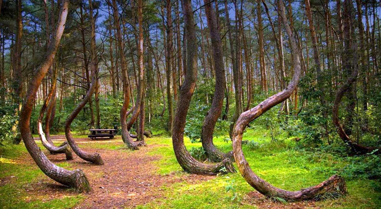 Top Mysterious Places to Visit Across the World