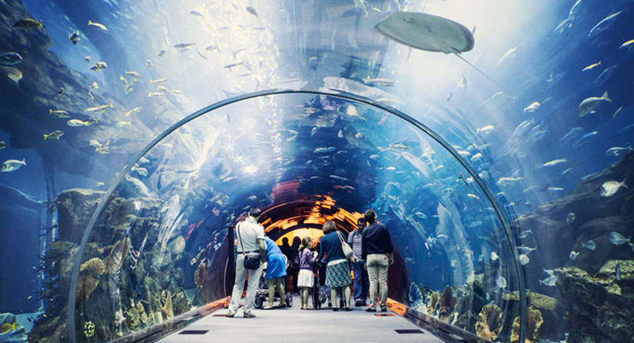 Best 20 Fun & Adventure Activities to Do in Dubai Holidays | Tourism