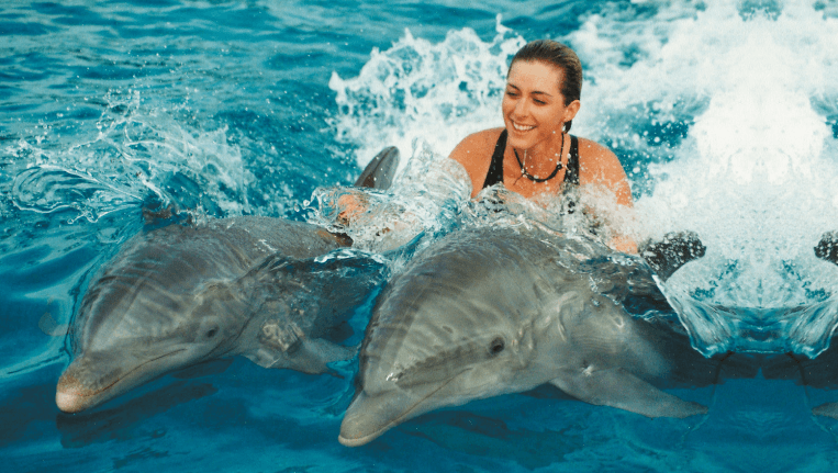 Top 14 Places to Spot Dolphins in India