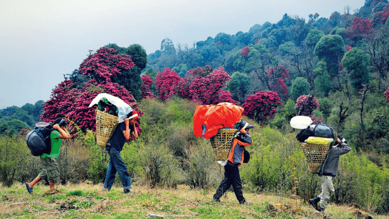 10 Best Offbeat Places to Visit in Sikkim | Less Explored Tourist Places