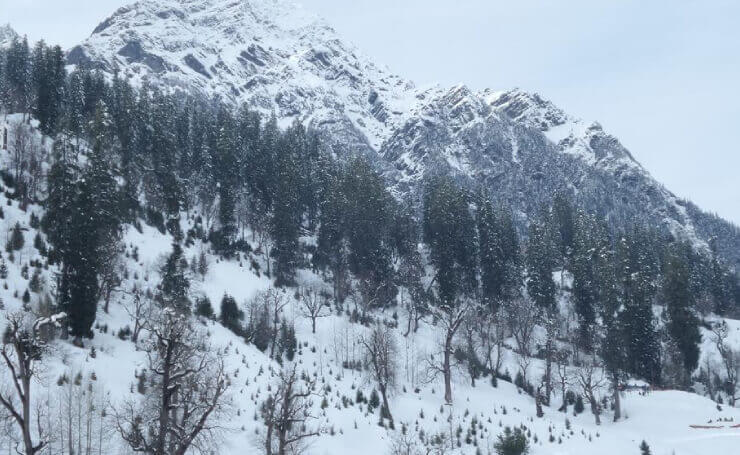 45 Best Hill Stations in India for a Memorable Holiday | Tour My India