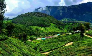 16 Best Destinations to Visit in Kerala This Summer | Tour My India