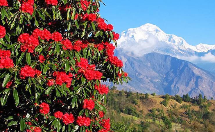 20 Best Offbeat Hill Stations in India to Escape the Summer | Tour My India