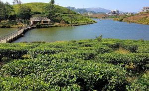 12 Best Places to Visit in Vagamon Kerala | Vagamon Tourism