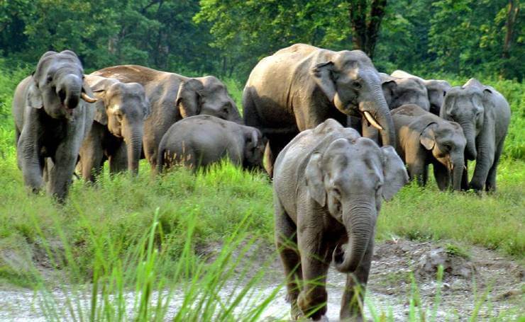 30 Best Places to Visit in September in India | Tour My India
