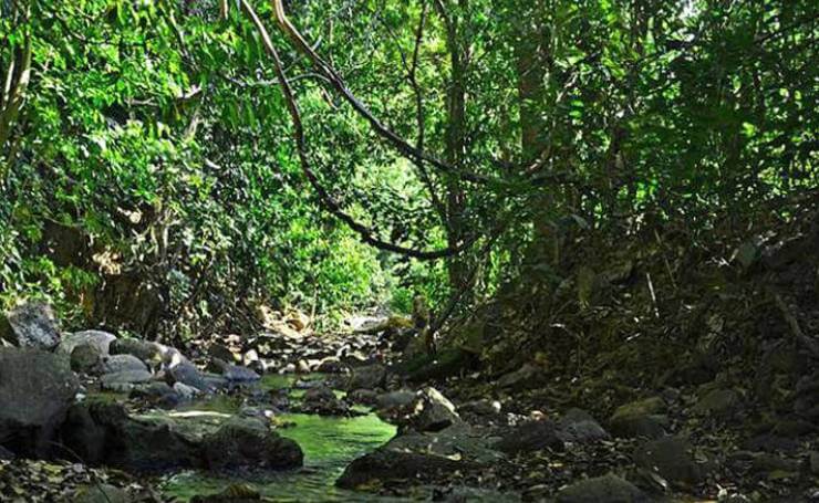 21 Best Places to Visit in Palakkad, Kerala | Palakkad Tourism