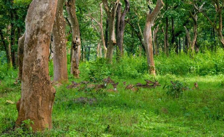 20 Best Places to Visit in Ooty | Tamil Nadu | Tour My India