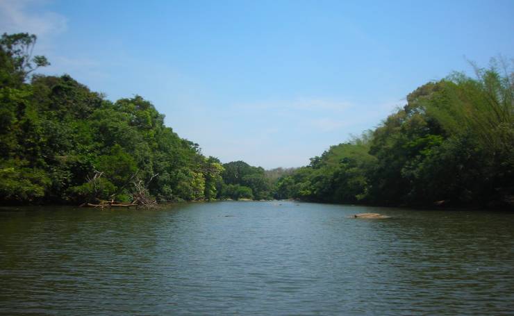 10 Best Places to Visit in Wayanad | Tourist Attractions | Kerala