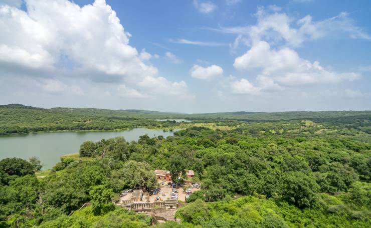 Destination Wedding in Ranthambore | Celebrity Wedding Destination India