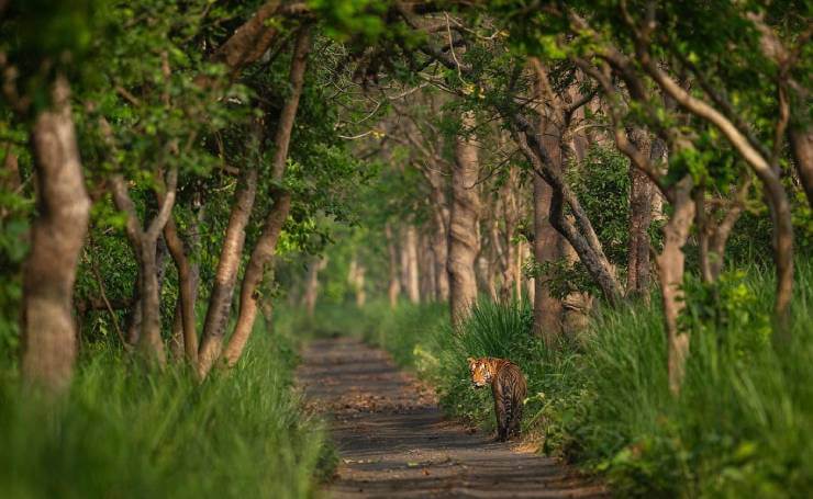 20 Top Tourist Destinations in Uttar Pradesh | Best Visiting Places | TMI