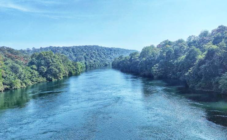 15 Best Jungle Safari Destinations in South India | Tour My India