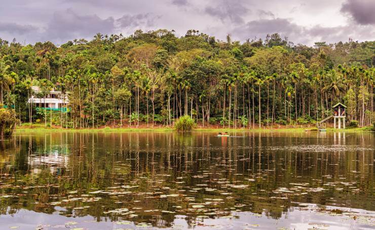 12 Best Things to Do for Tourists in Wayanad, Kerala | Tour My India