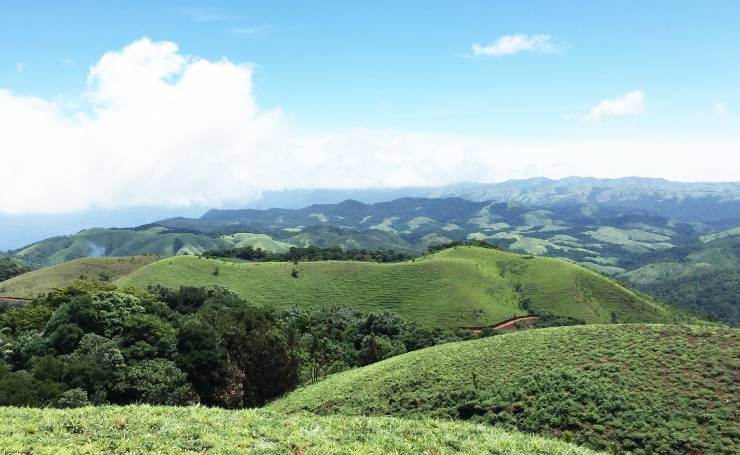 15 Best Places to Visit in Coorg | Top Tourist Places | Tour My India