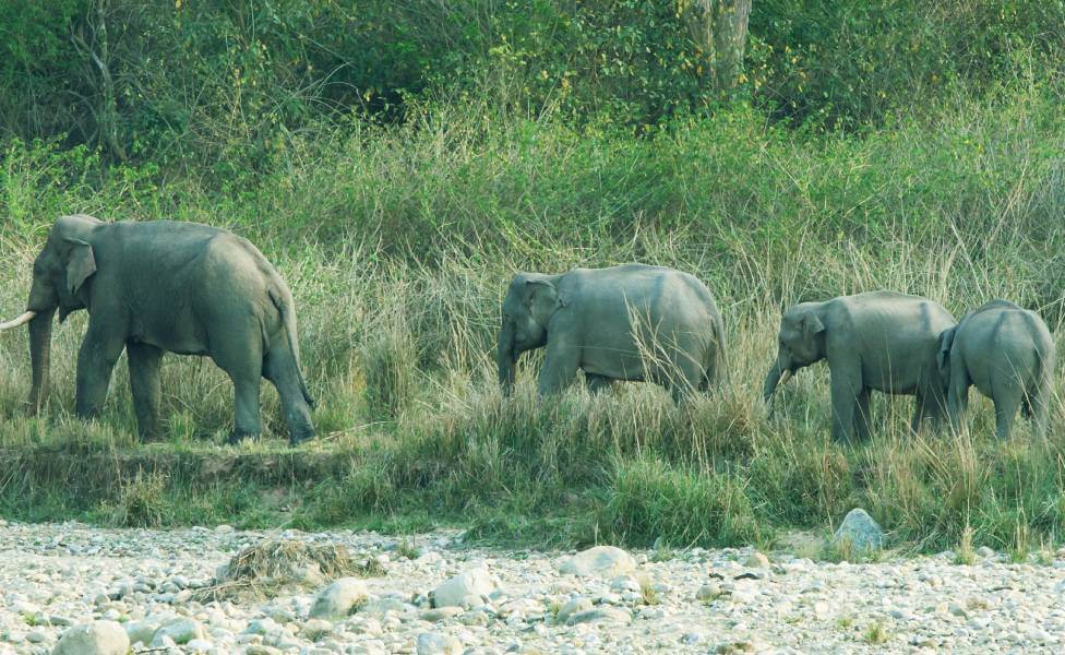 13 Best Places to Visit in Rishikesh | Tourist Guide | TMI