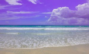 12 Must Visit Blue-Flag Beaches in India | Tour My India