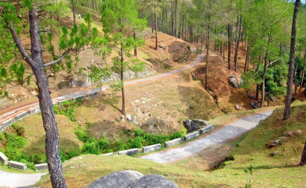12 Best Places to Visit in Ranikhet for A Blissful Vacation | TMI