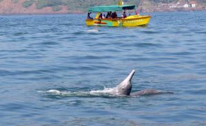 10 Best Romantic Places in Goa for Couples | Tour My India