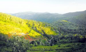 10 Best Less Crowded Hill Stations to Visit in South India | TMI