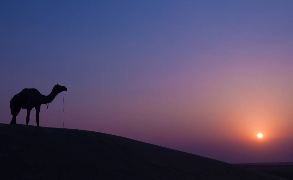 Sun Tourism - The Best Places to See Sunrise & Sunset in Rajasthan
