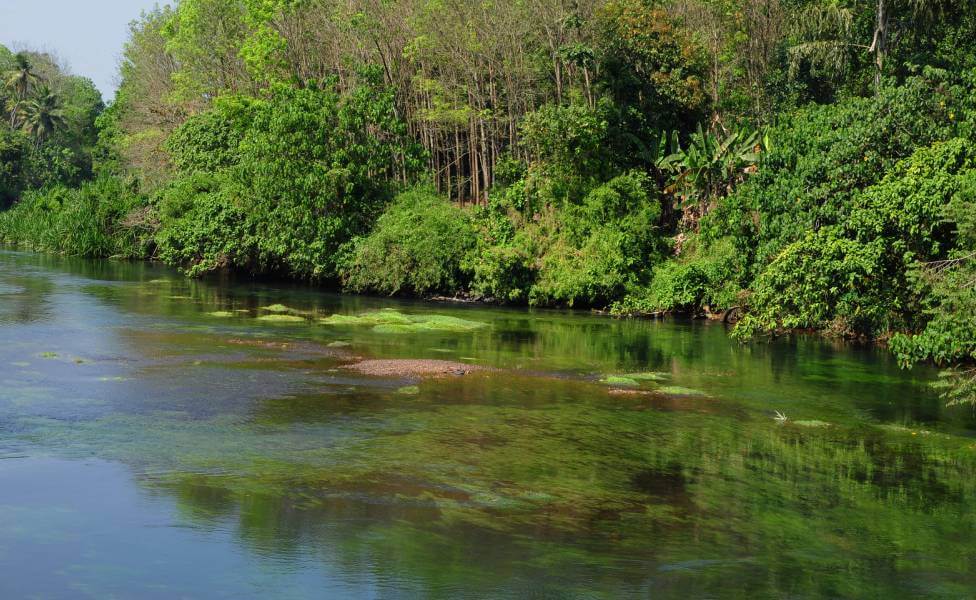 Best Eco-Tourism Destinations in India | Tour My India