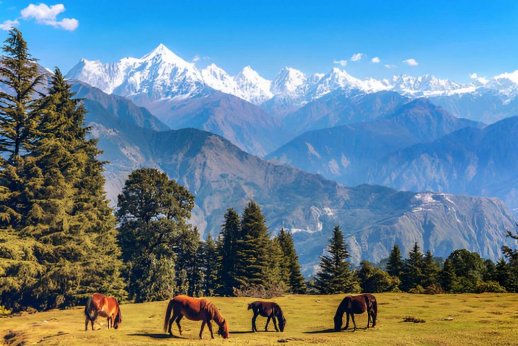 11 Best Must-Visit Heavenly Places in India That Echo Kashmir’s Charm ...